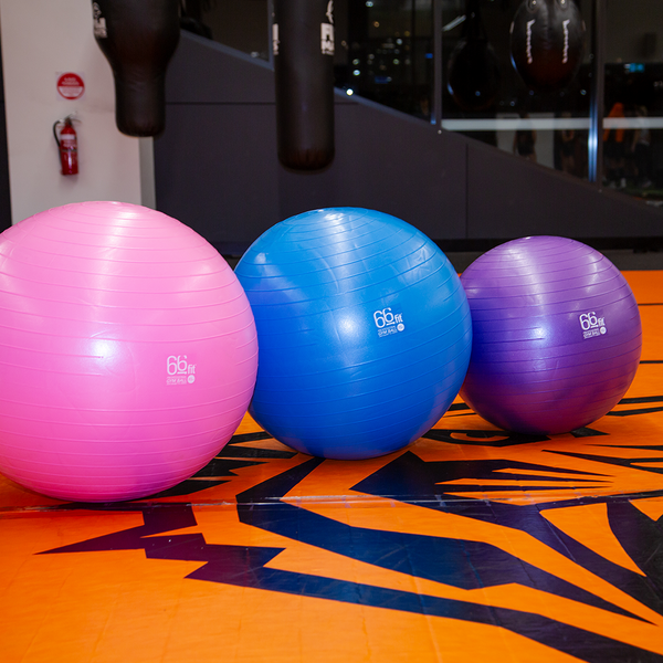 66fit Exercise Gym Balls - Whiteley Medical Supplies